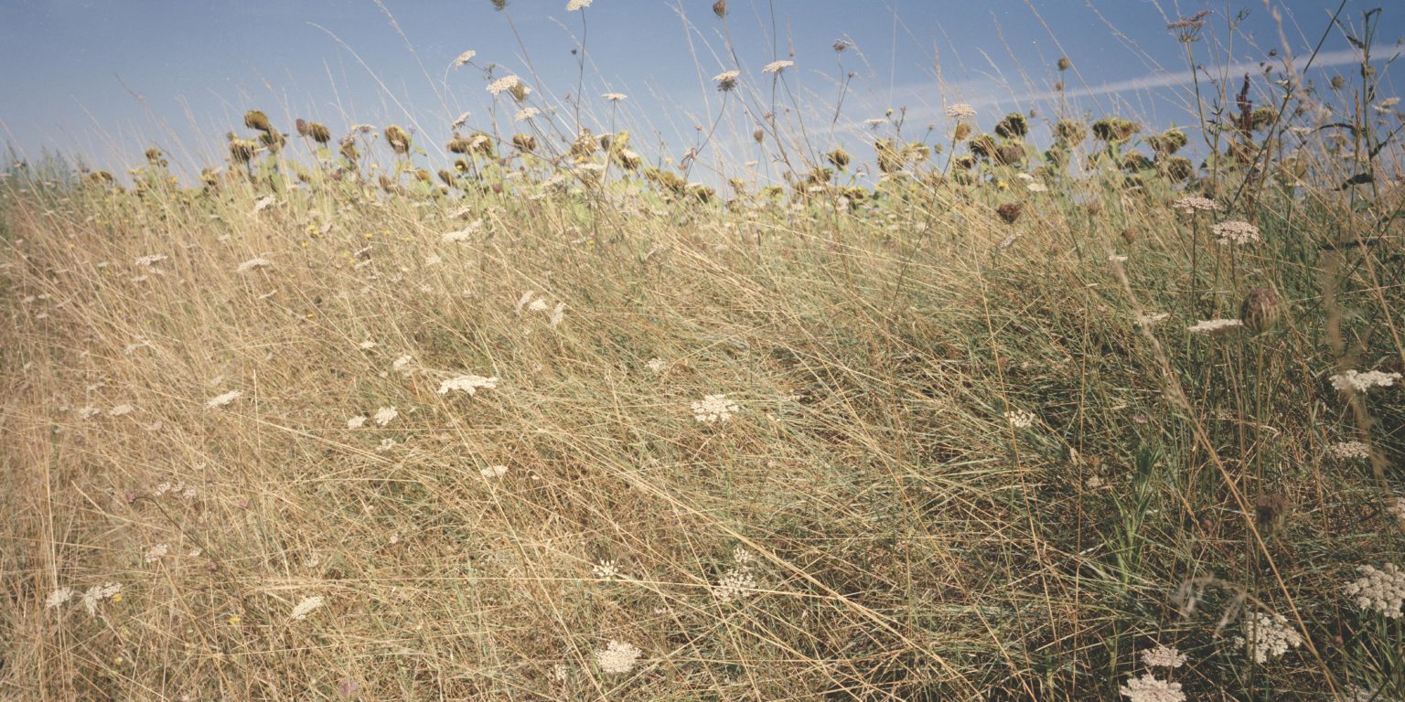 La Fondation - Eschaton—Anselm Kiefer Foundation | Eschaton—Anselm ...